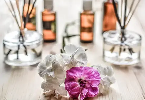 Como deixar a casa cheirosa? 5 dicas imperdíveis!